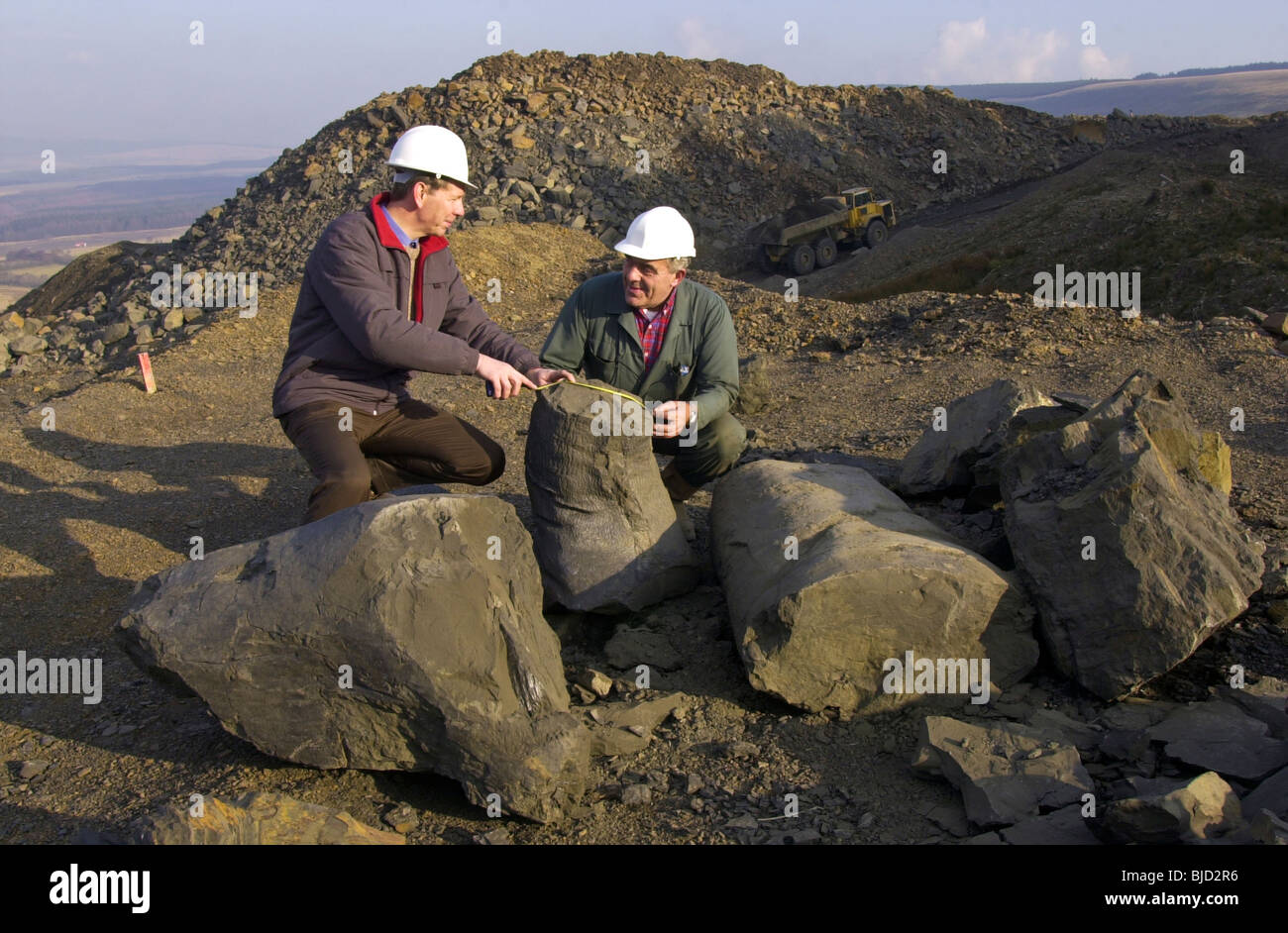Tree fossils hi-res stock photography and images - Alamy