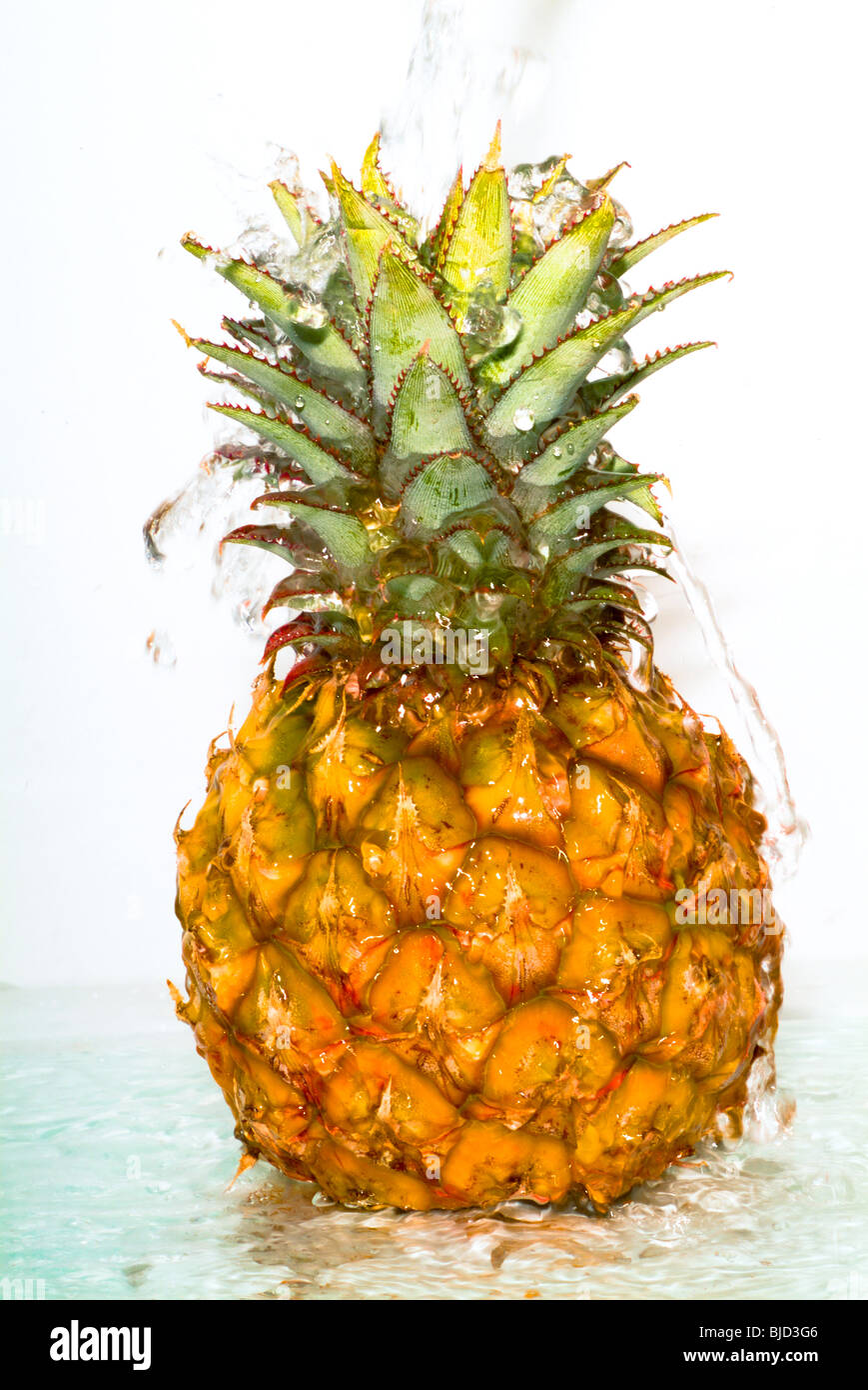 Pineapple with poured water. Isolation on white Stock Photo - Alamy