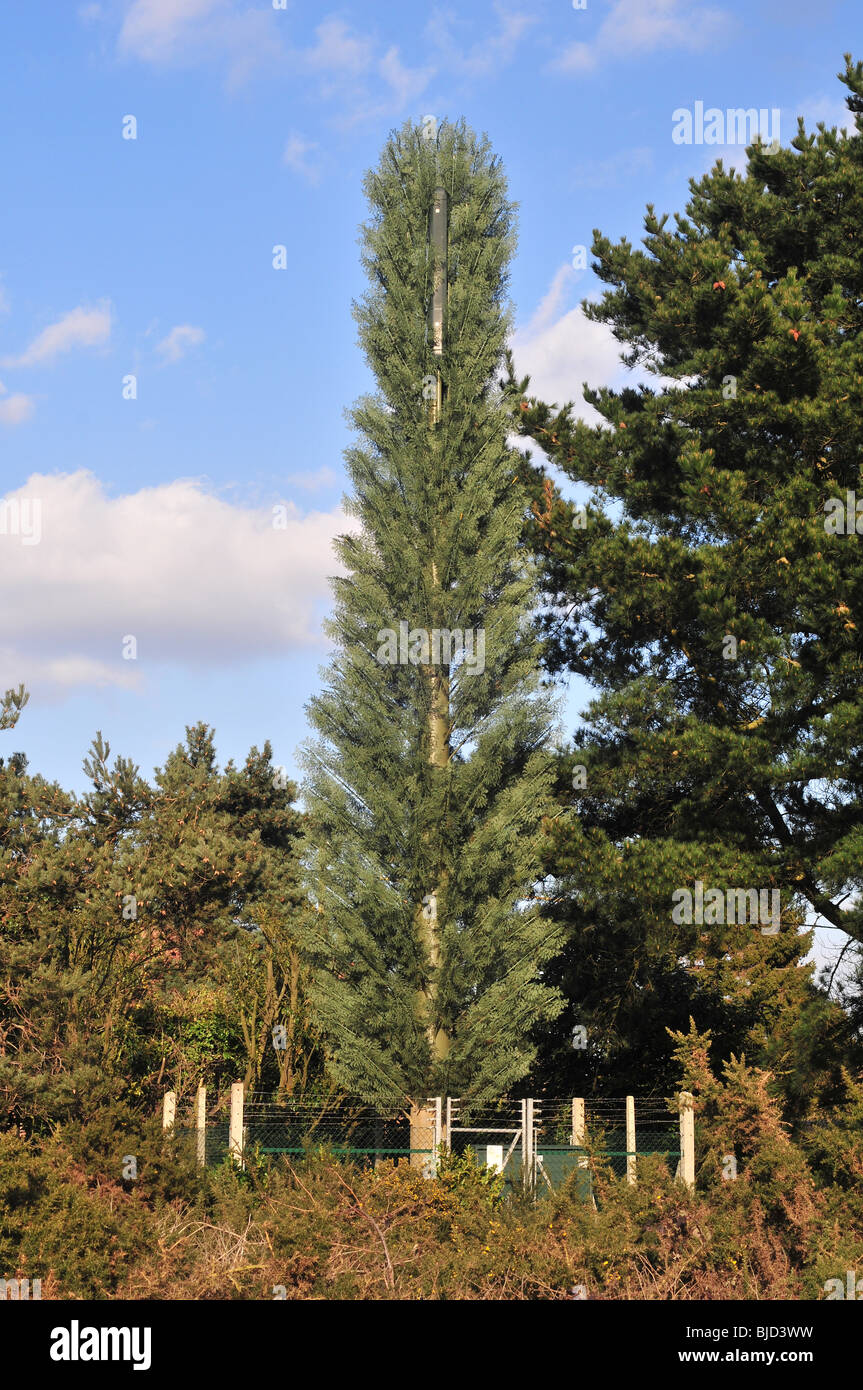 Mobile phone mast disguised as a tree Stock Photo - Alamy