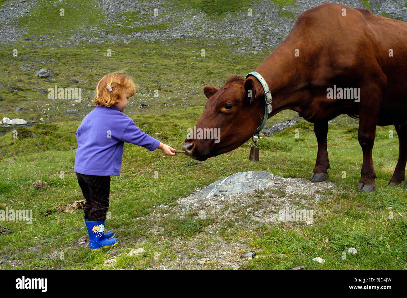 Afraid child animal hi-res stock photography and images - Alamy