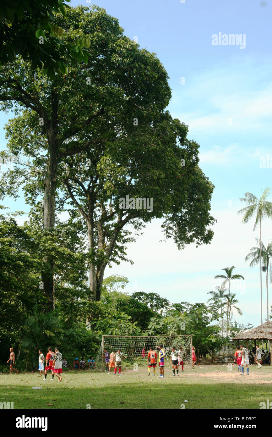 Jungle forest rainforest clearing field game playing hi-res stock ...