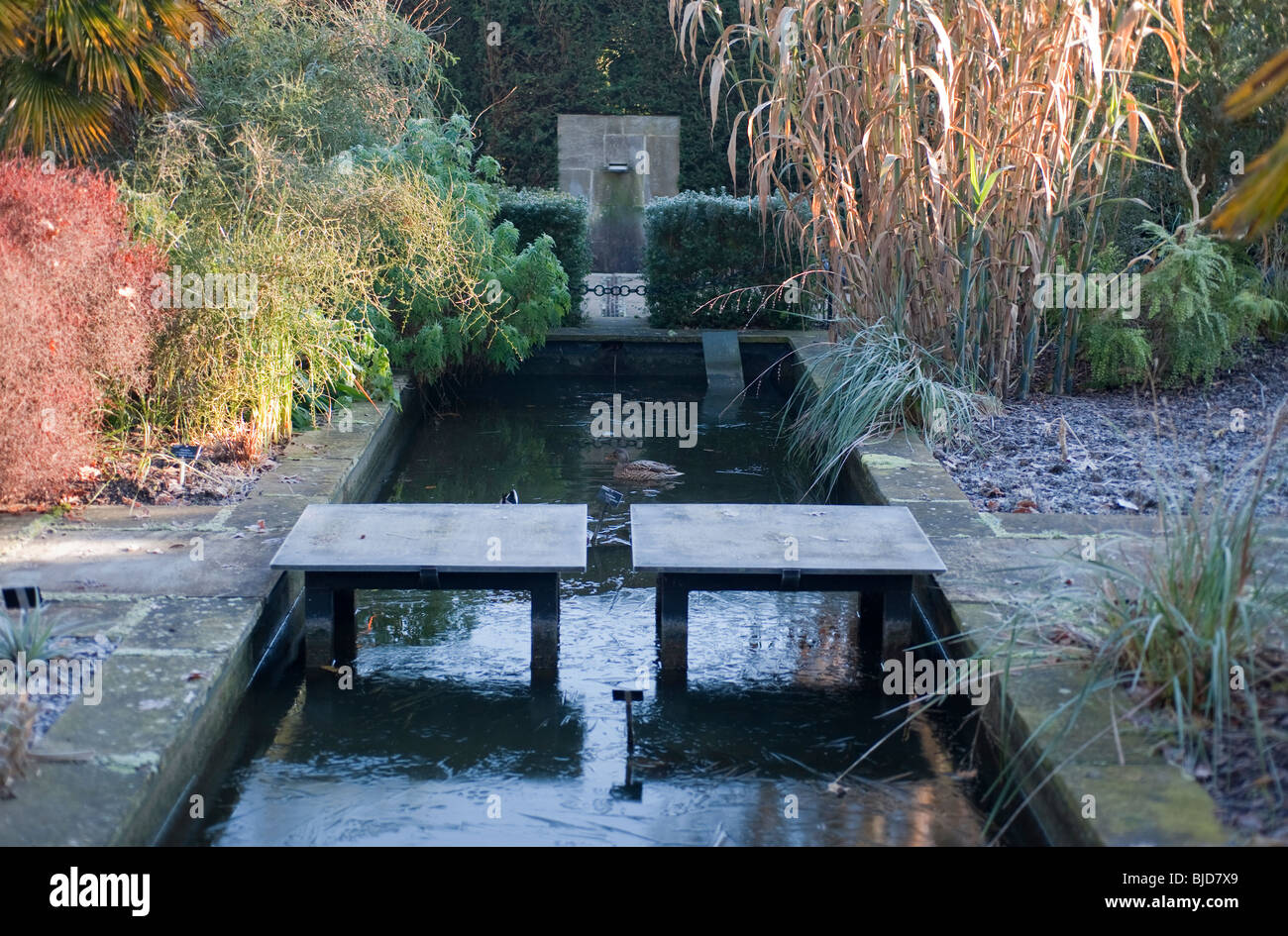 Ice covered garden pond, RHS Wisley Stock Photo - Alamy