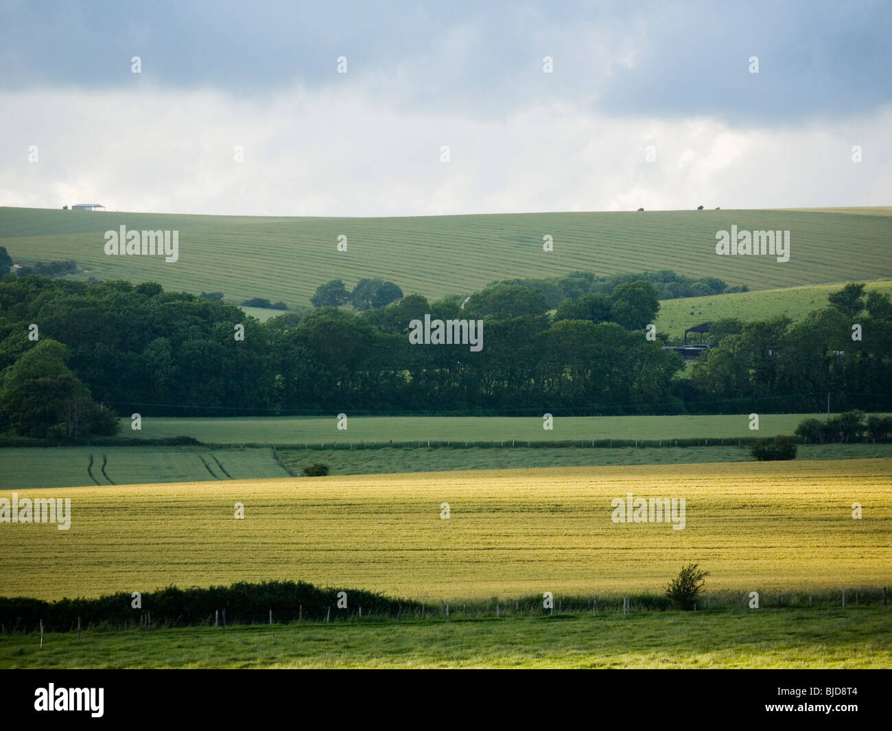 Sunlight over a pasture Stock Photo - Alamy