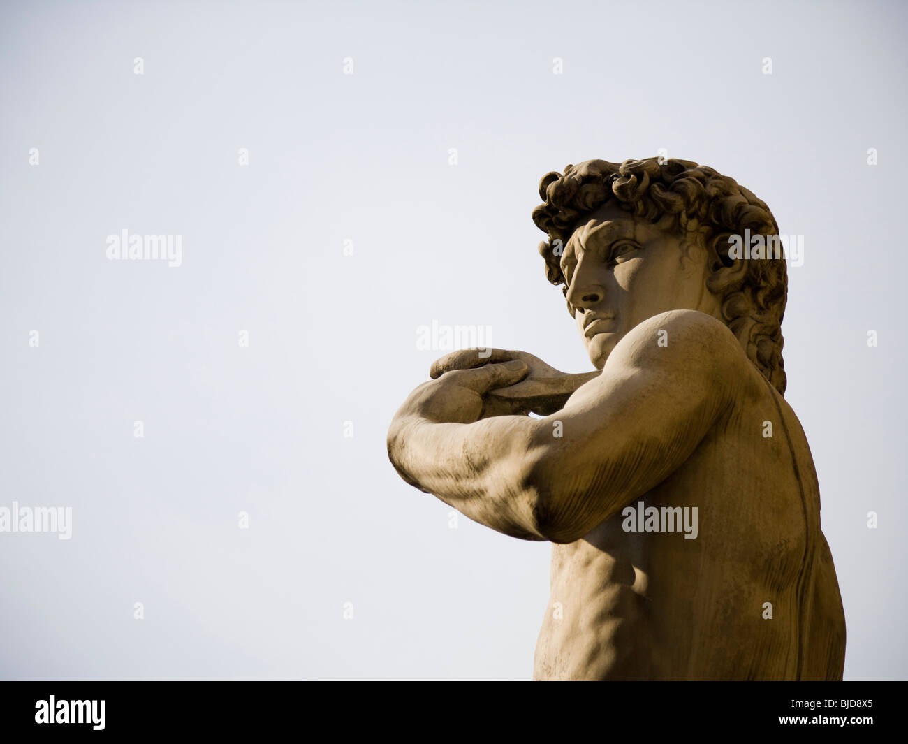 The David in Florence, Italy Stock Photo - Alamy
