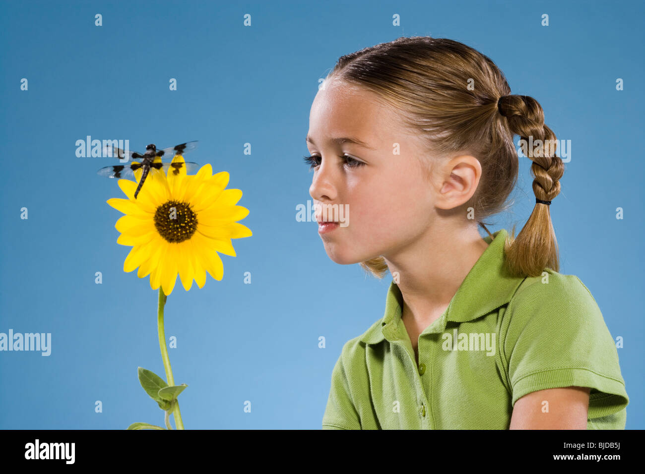 Child looking at a flower and a dragonfly Stock Photo - Alamy