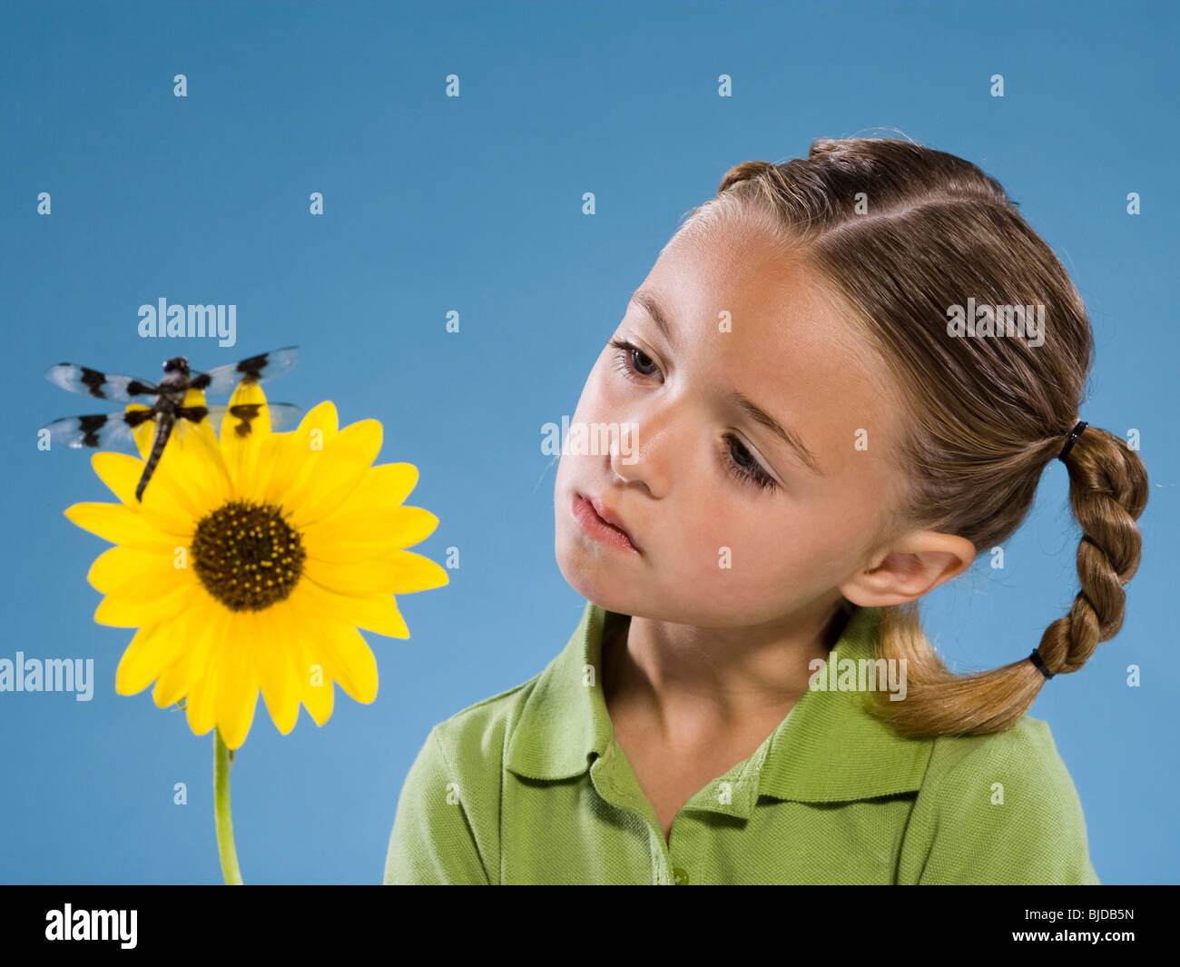 Child looking at a flower and a dragonfly Stock Photo - Alamy