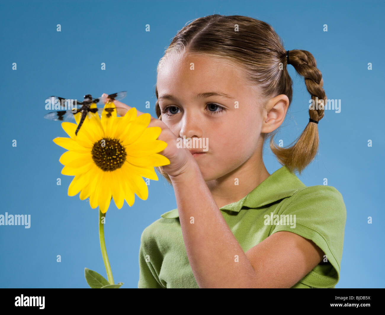 Child looking at a flower and a dragonfly Stock Photo - Alamy