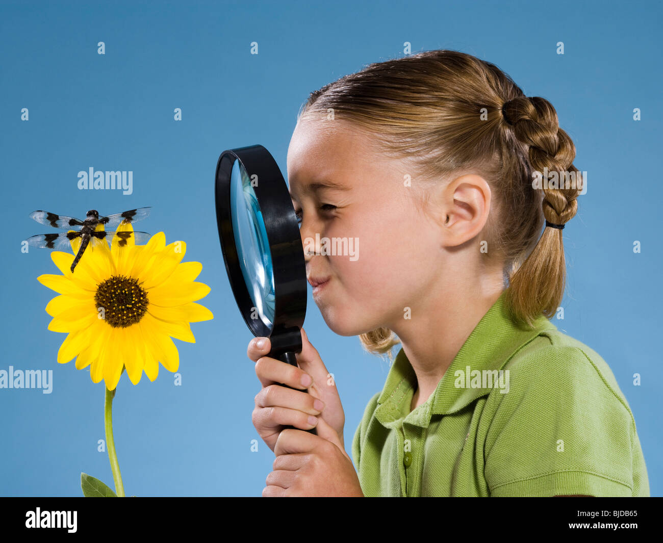 Child looking at a flower and a dragonfly Stock Photo - Alamy