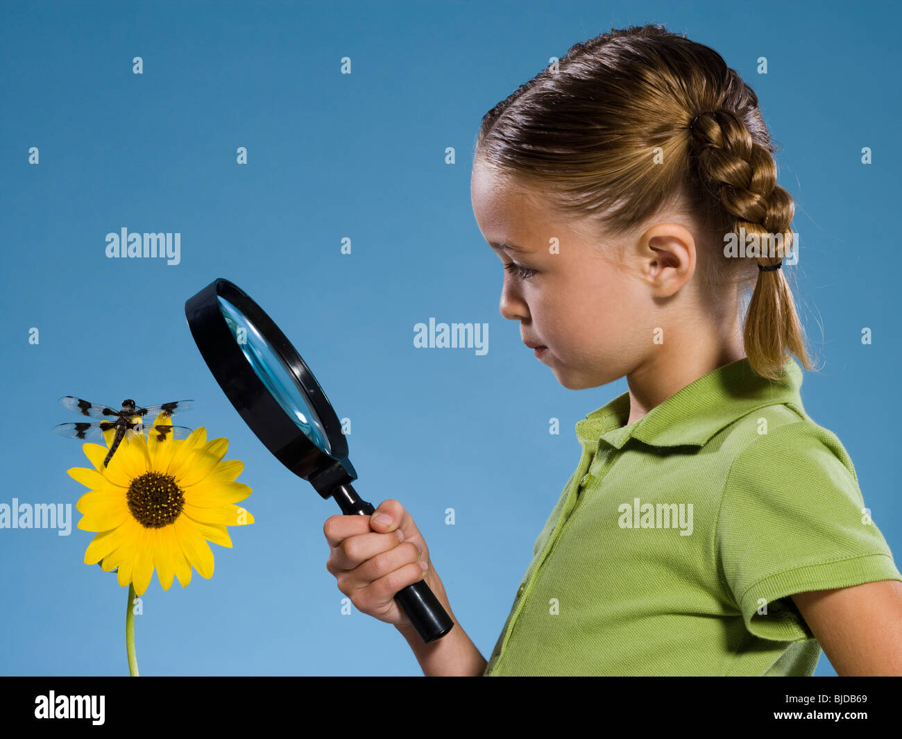 Child looking at a flower and a dragonfly Stock Photo - Alamy