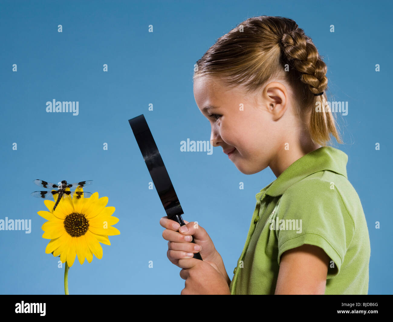 Child looking at a flower and a dragonfly Stock Photo - Alamy