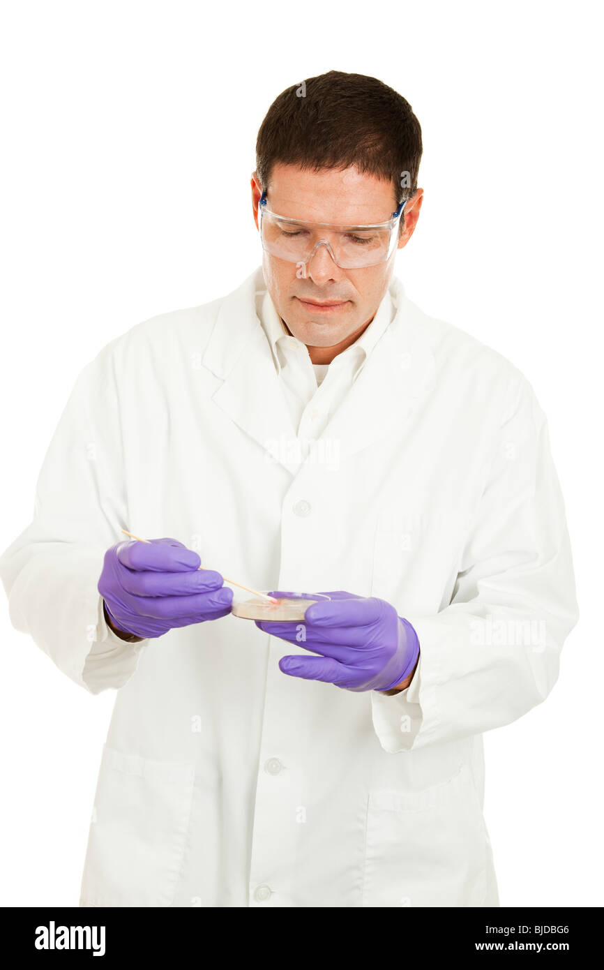 Handsome scientist preparing a culture in a petri dish Stock Photo - Alamy