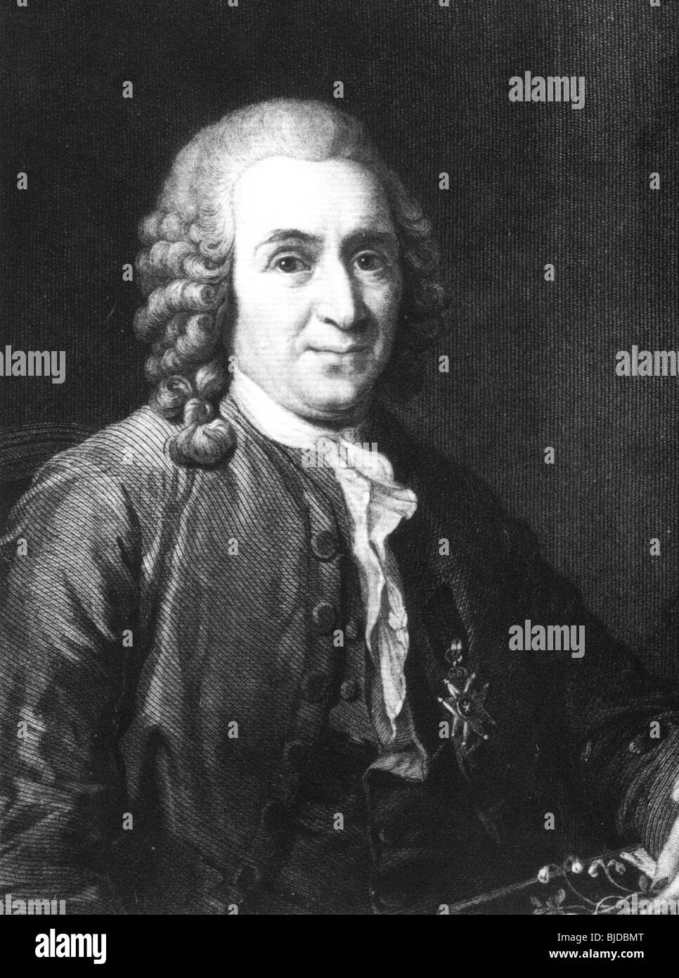 Swedish naturalist 1707 1778 hi-res stock photography and images - Alamy