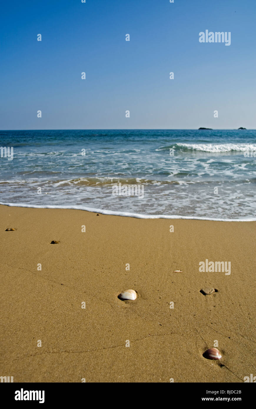 Sunny beach detail hi-res stock photography and images - Alamy