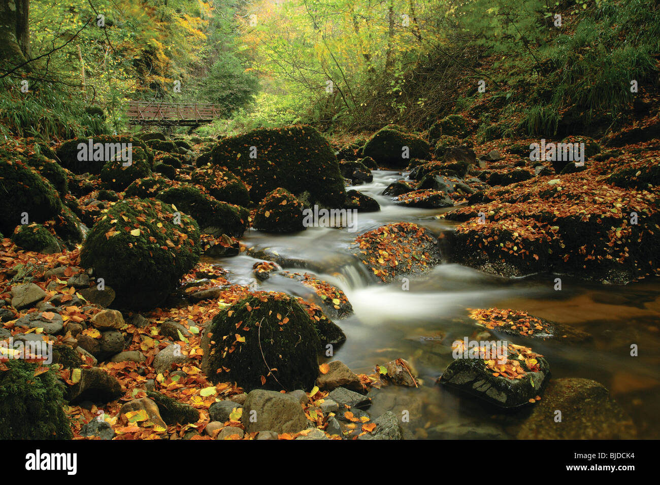 Autumn leaves and a waterfall at Kelburn Country Park Fairlie Ayrshire ...
