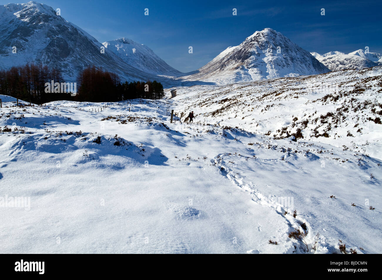 Scottish mountain in winter hi-res stock photography and images - Alamy
