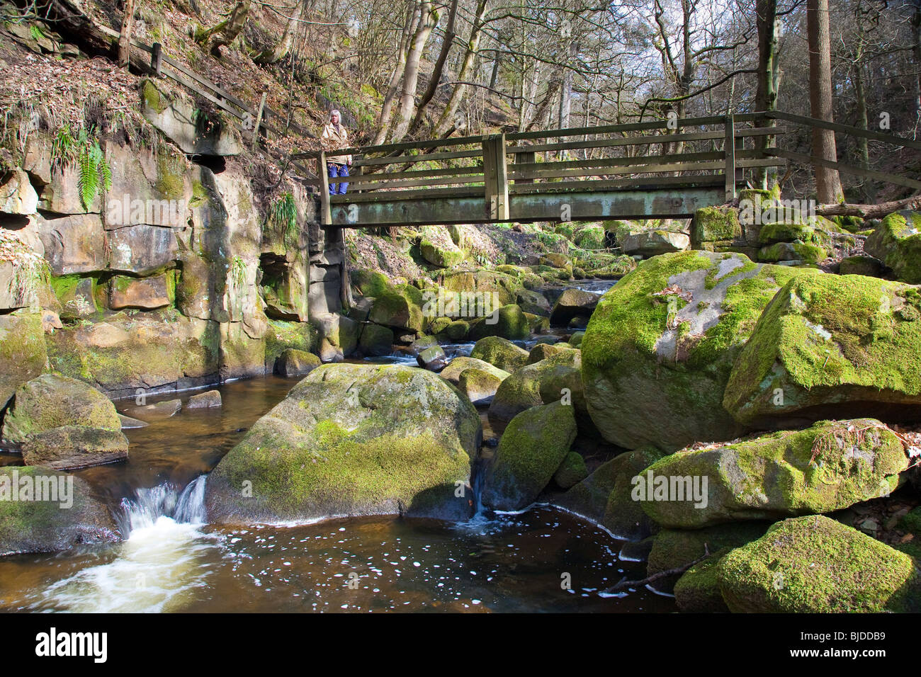 Padley gorge peak district hi-res stock photography and images - Alamy