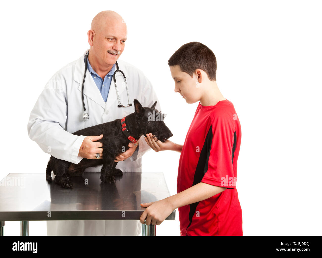 Male middle aged caucasian doctor veterinarian hi-res stock photography ...