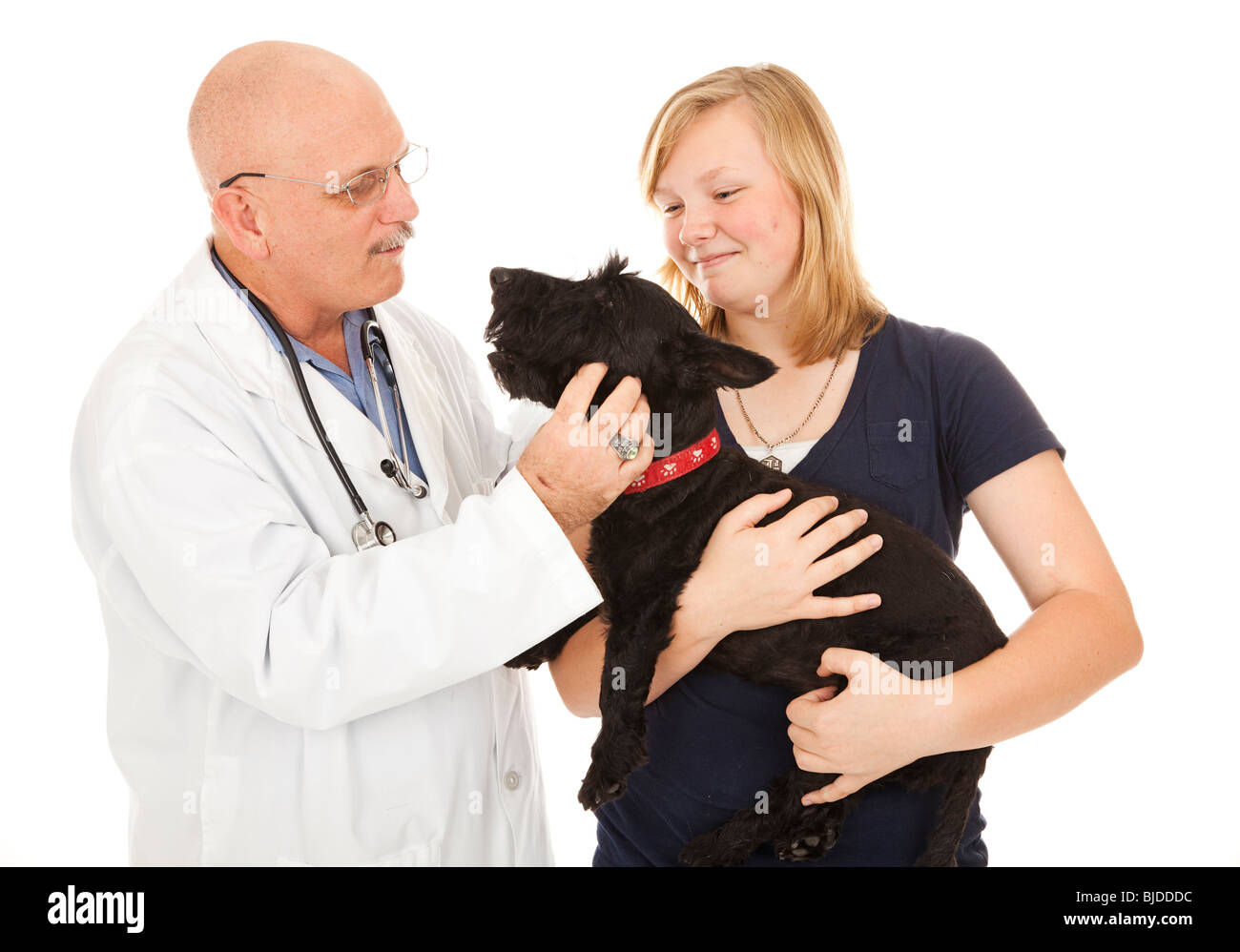 Friendly veterinarian gets to know a new patient. Isolated on white ...