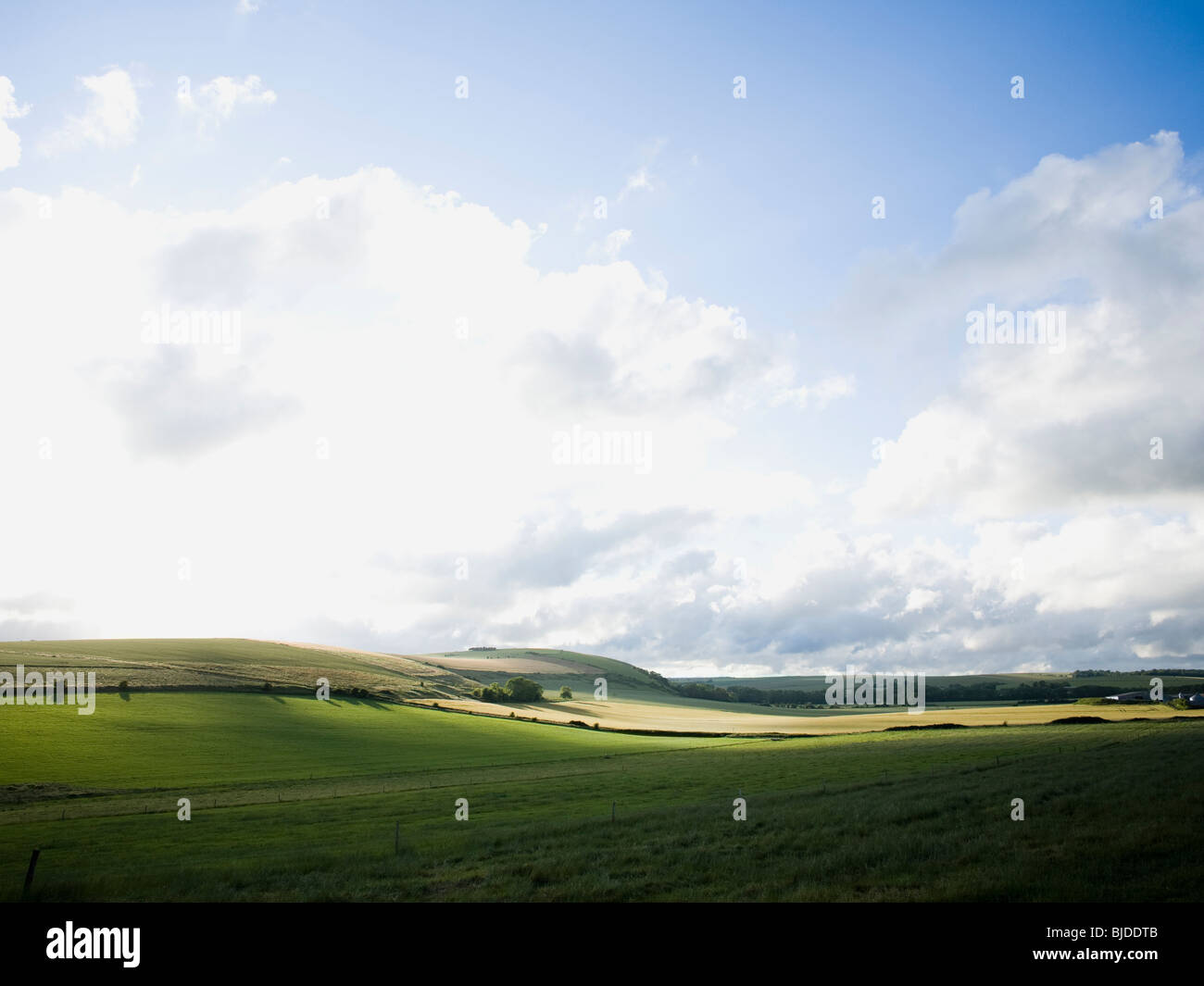 Sunlight over a pasture Stock Photo - Alamy