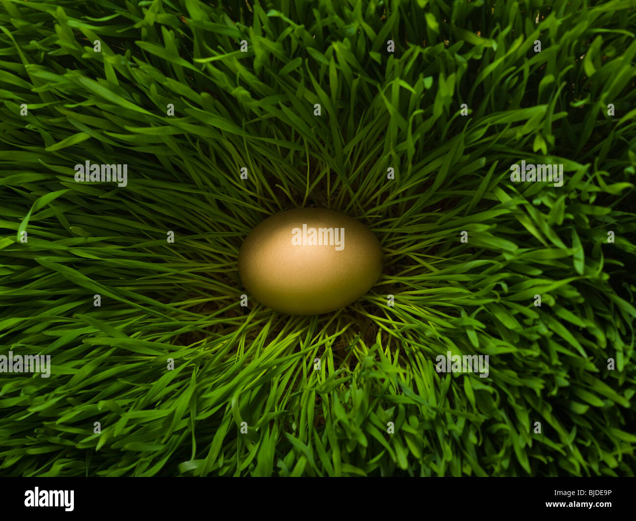 golden egg in the grass Stock Photo - Alamy