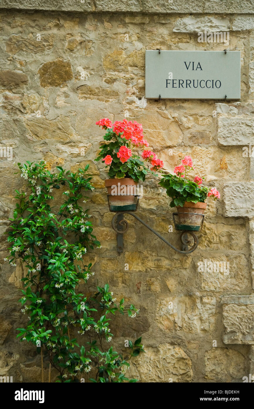 Potted flowers against a wall on an Italian street Stock Photo - Alamy