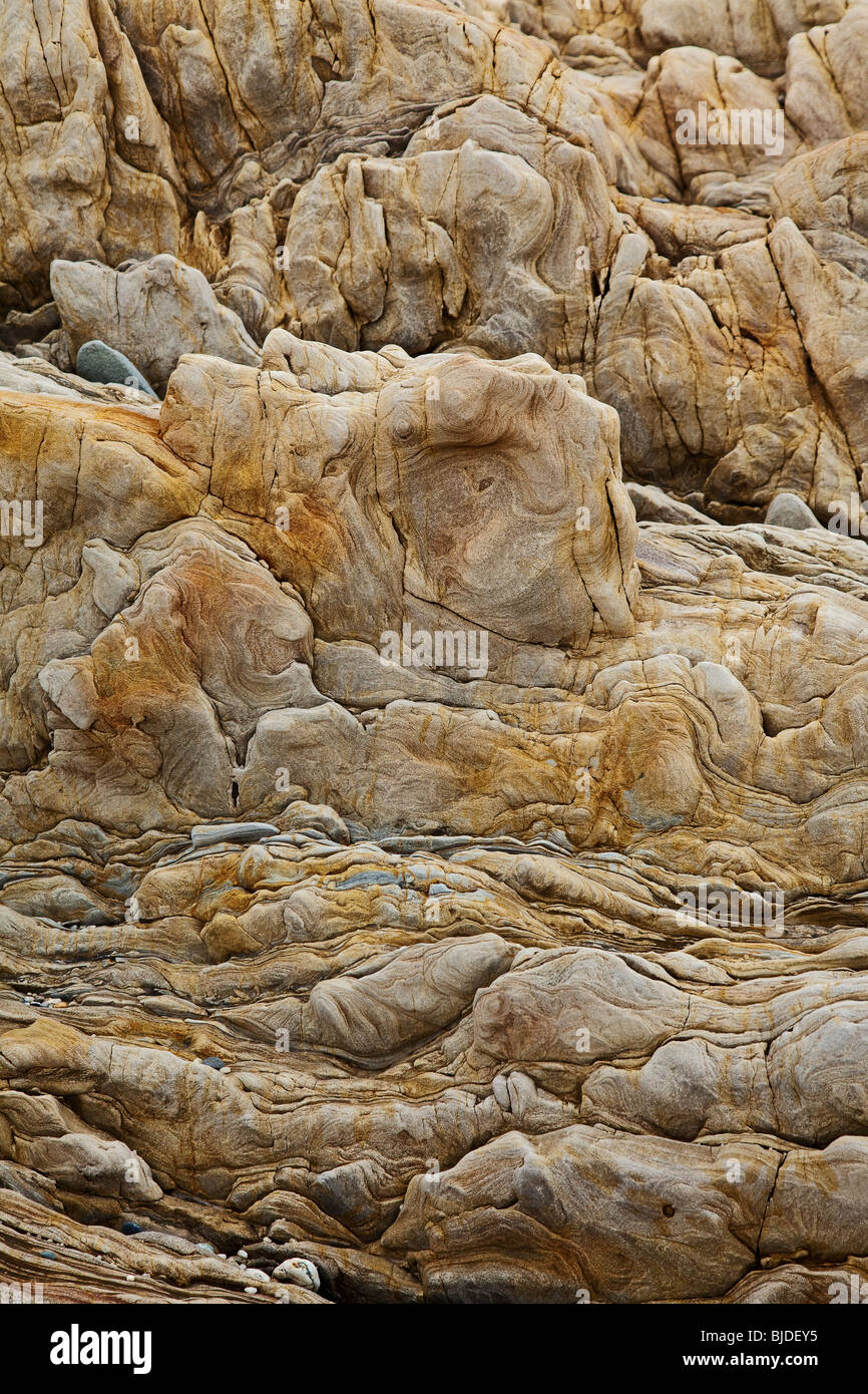 Tan color hi-res stock photography and images - Alamy