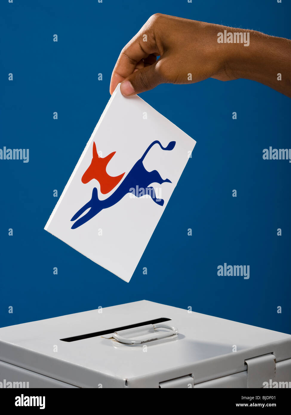 hand casting a ballot Stock Photo - Alamy