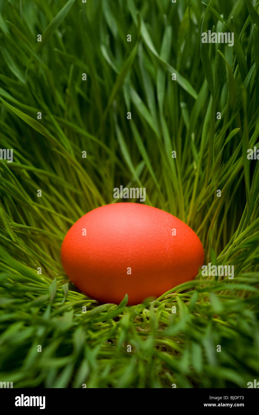 Image orange easter egg hi-res stock photography and images - Alamy