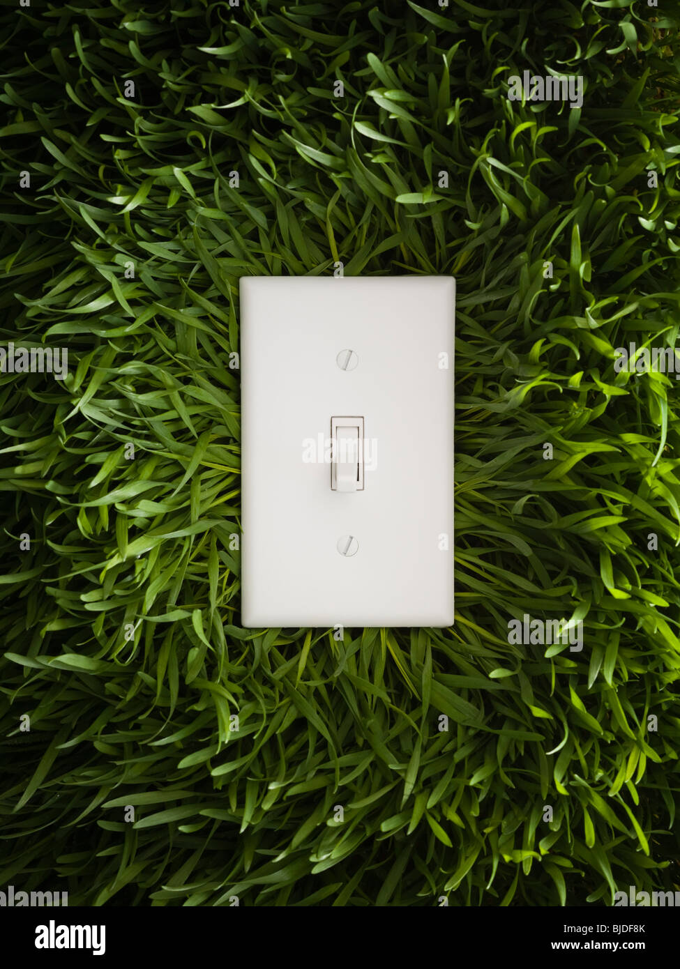 Light switch on green grass Stock Photo - Alamy