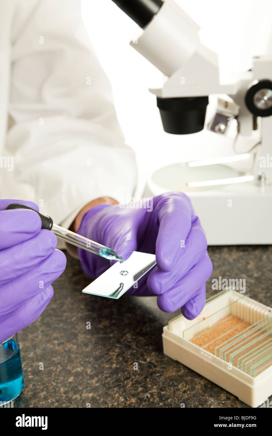 Closeup of scientist's hands as he prepares a sample for the microscope ...