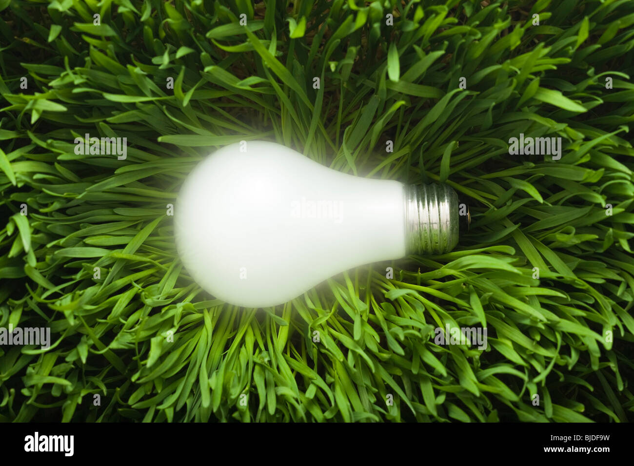 Glowing light bulb on grass Stock Photo - Alamy
