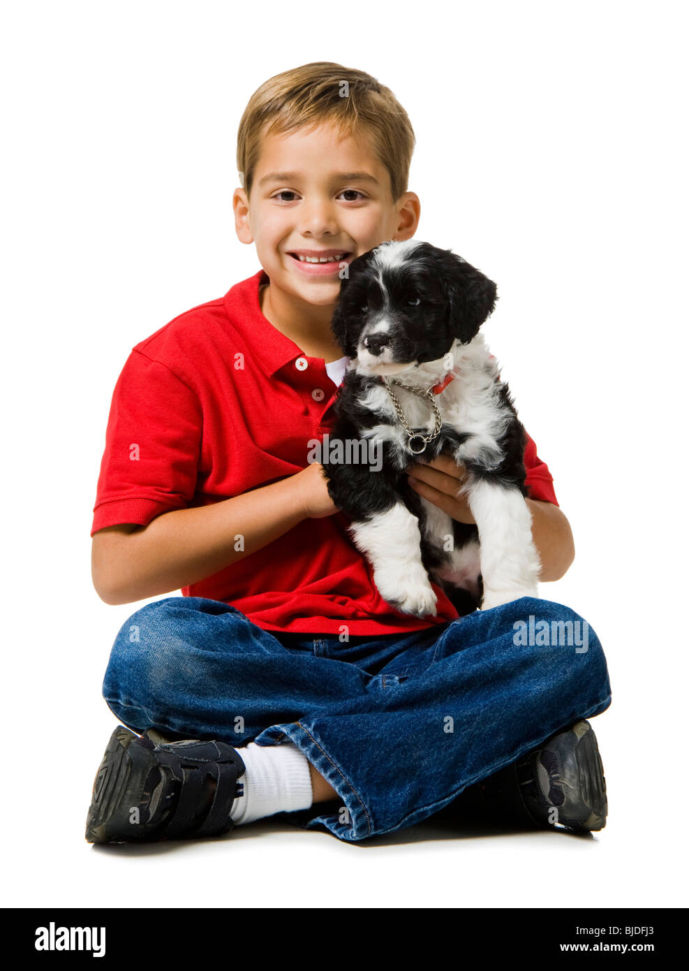 Person holding puppy Cut Out Stock Images & Pictures - Alamy