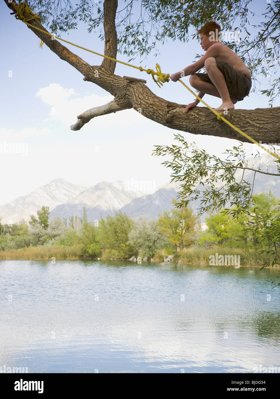 boy on a tree above a lake Stock Photo - Alamy
