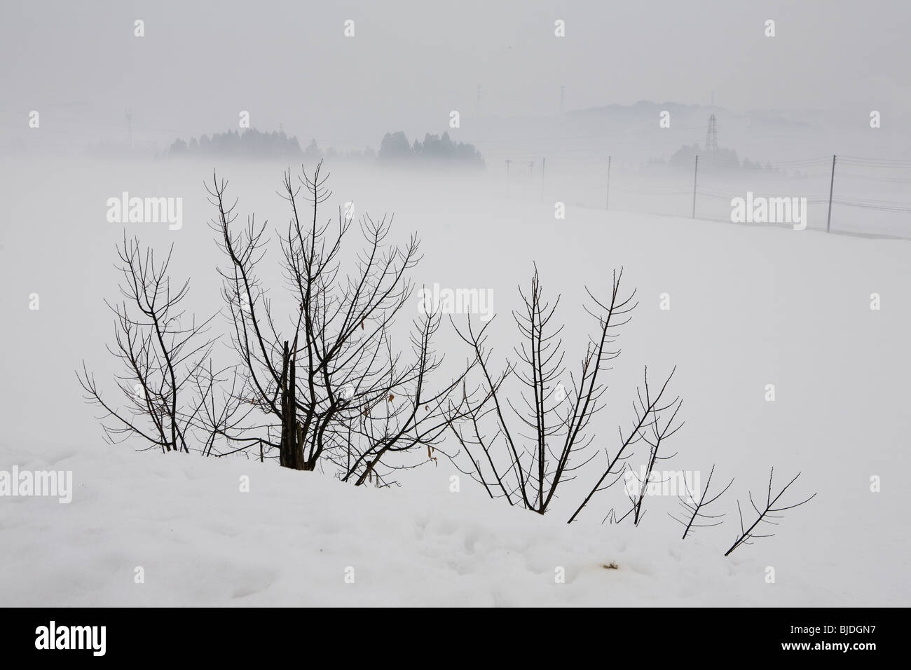 Country landscape japan hi-res stock photography and images - Alamy