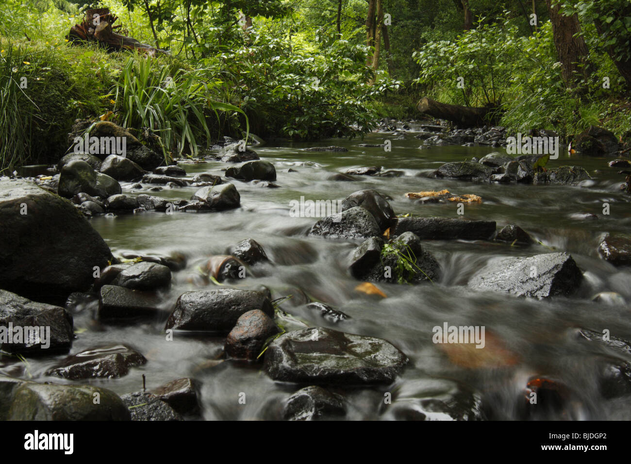 Uk stream summer hi-res stock photography and images - Alamy
