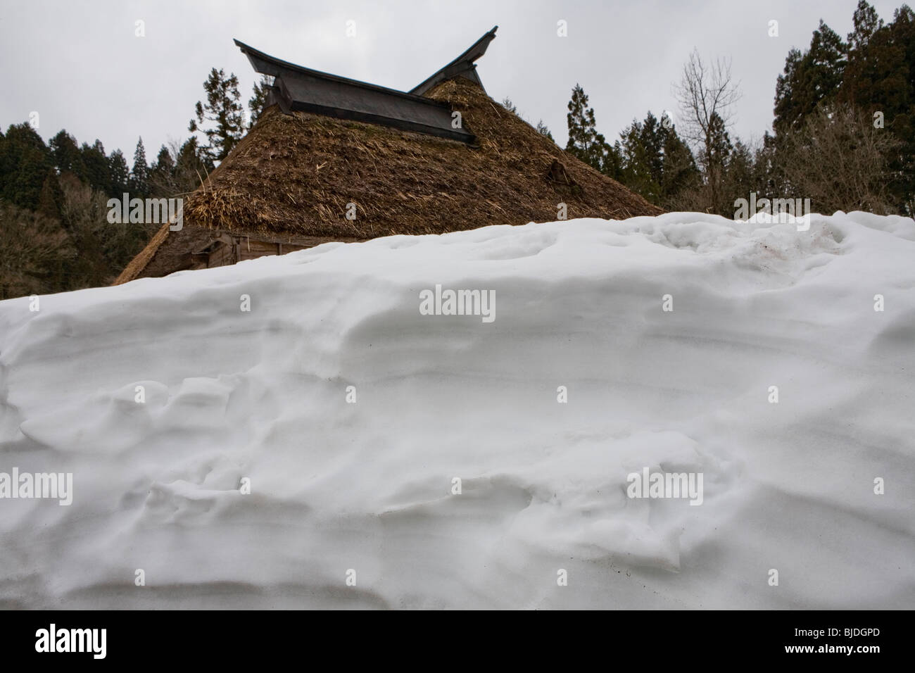 Japan thatched roof house hi-res stock photography and images - Alamy