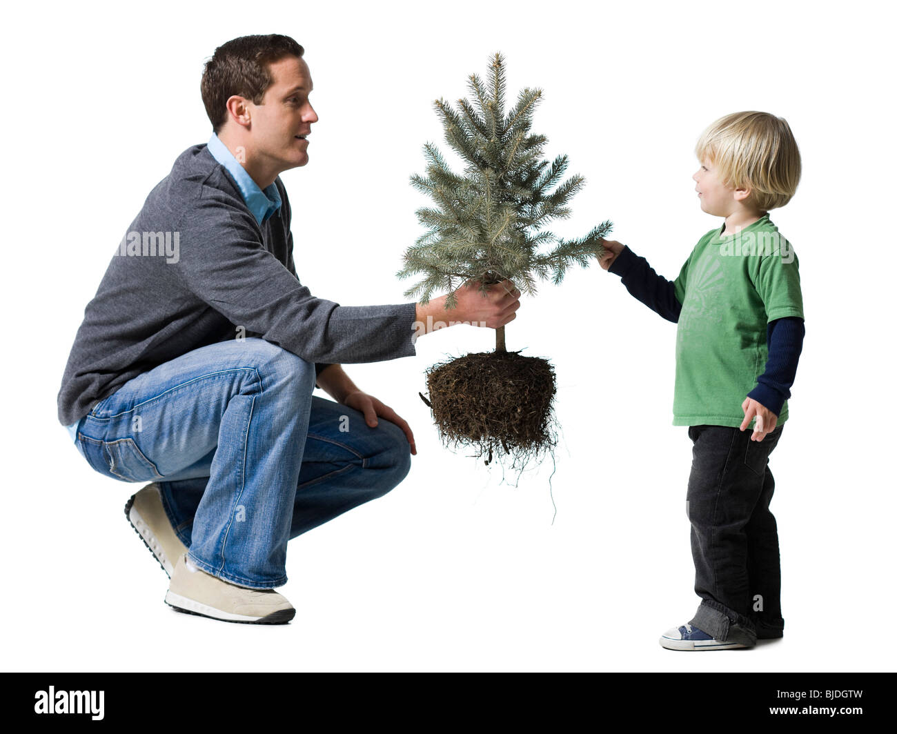 father and son planting a tree Stock Photo - Alamy