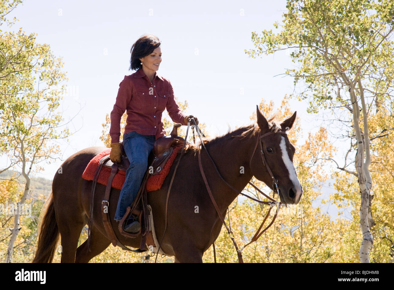 Woman Riding Horse Mature High Resolution Stock Photography and Images ...