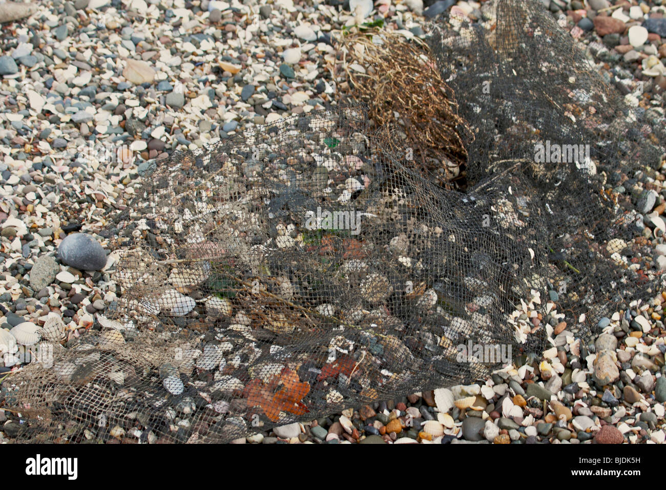 Hazard netting hi-res stock photography and images - Alamy