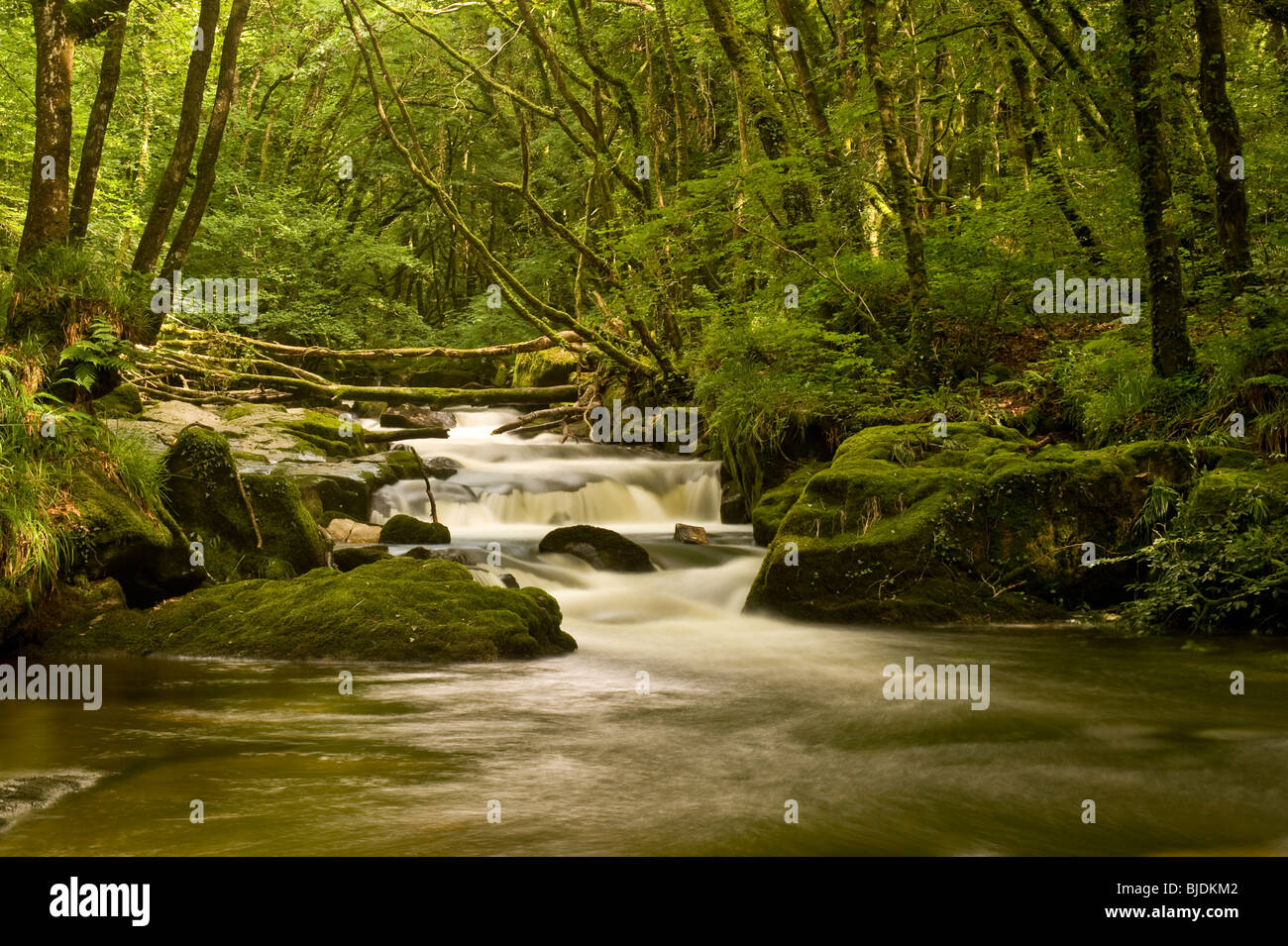 Long exposure view of the waterfalls at Golitha Falls, Cornwall Stock ...