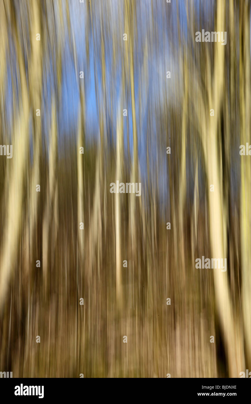 Abstract movement hi-res stock photography and images - Alamy