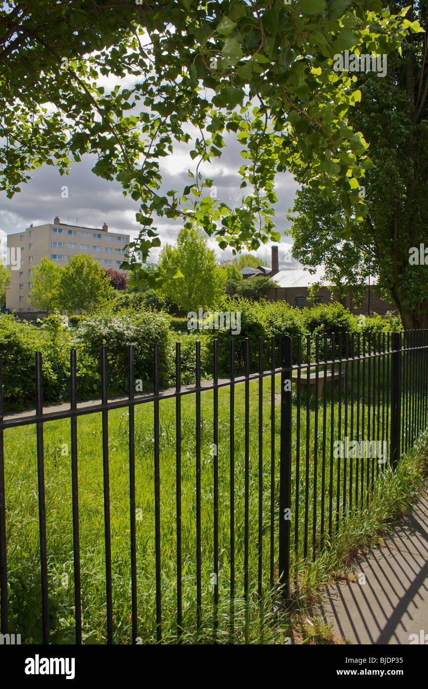 Open park hi-res stock photography and images - Alamy