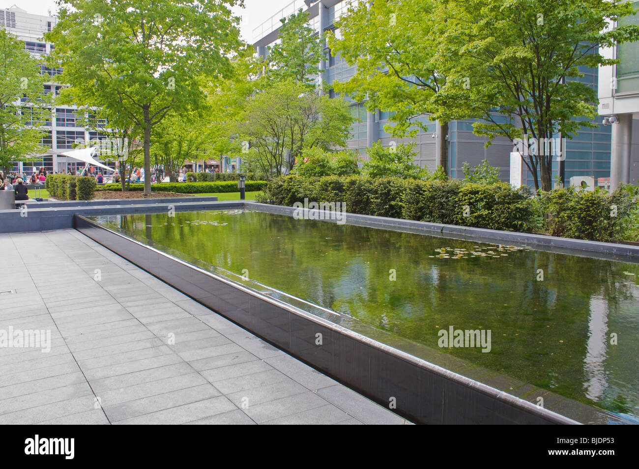 Trees plazza modern hi-res stock photography and images - Alamy