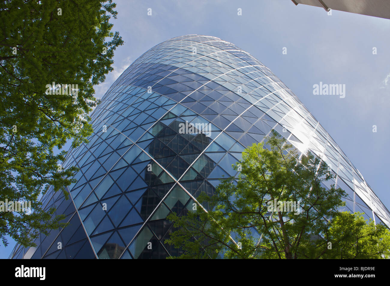 trees and reflections in 30 St Mary Axe, The Gherkin, london Stock ...