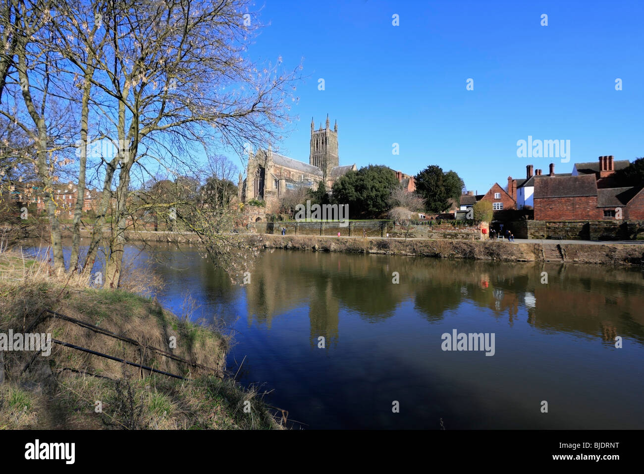The Cathedral Church of Christ and the Blessed Mary the Virgin of ...
