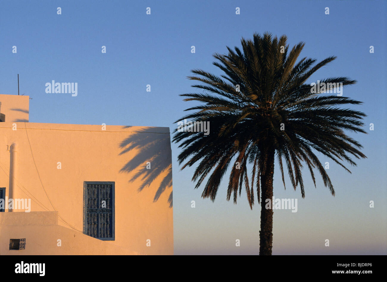 Typical house with palm tree of the town of Sidi Bou Said, near the ...