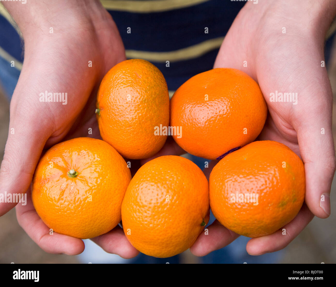 Soft fruit selection hi-res stock photography and images - Alamy