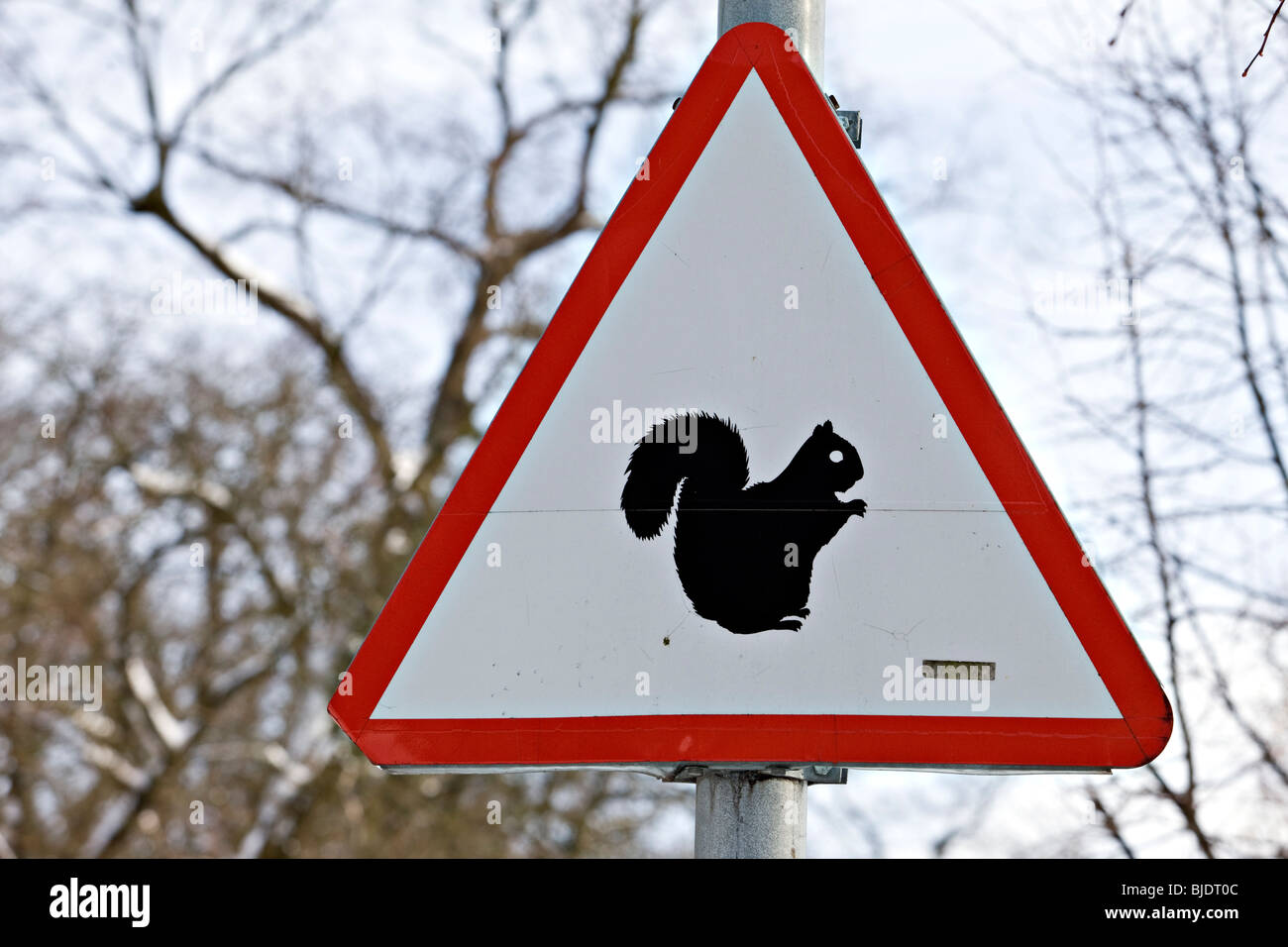 Squirrel sign hi-res stock photography and images - Alamy