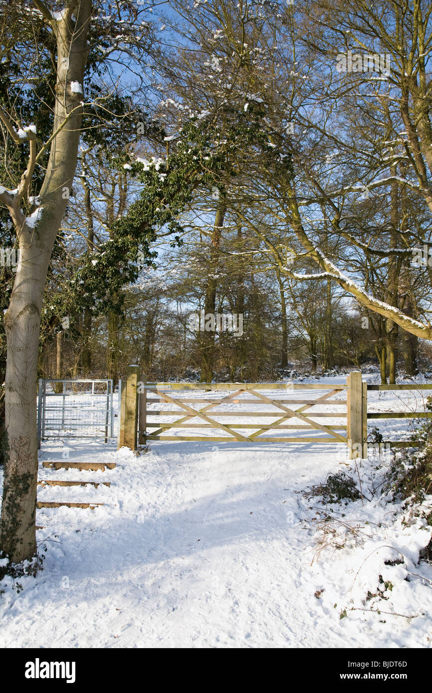 Open gate of a forest hi-res stock photography and images - Alamy