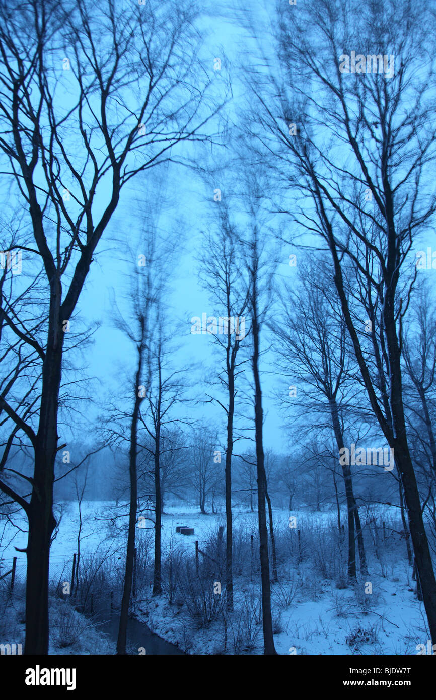 Cold netherlands hi-res stock photography and images - Alamy